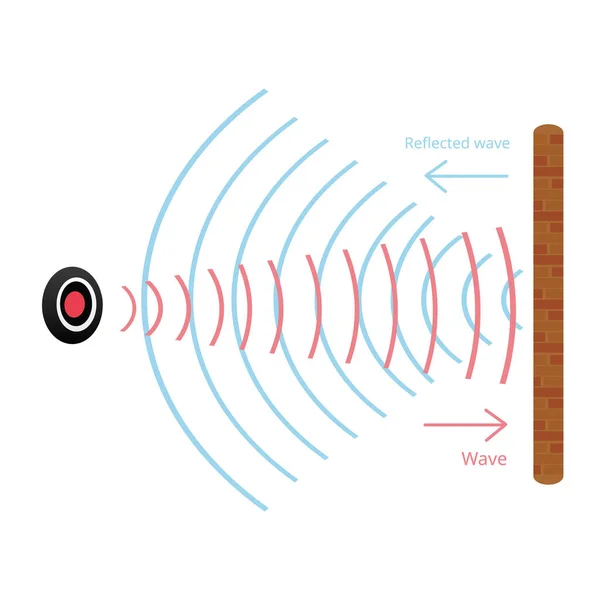 Sound Echo Diagram