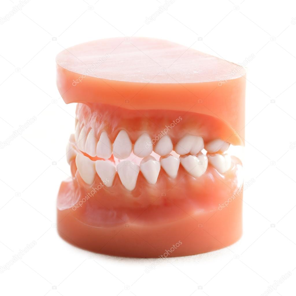 Dentures — Stock Photo © ryanking999 #25856981 Dentures — Stock Photo © ryanking999 #25856981
