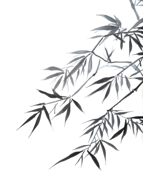 Bamboo leaf Stock Photo by ©ryanking999 28008085