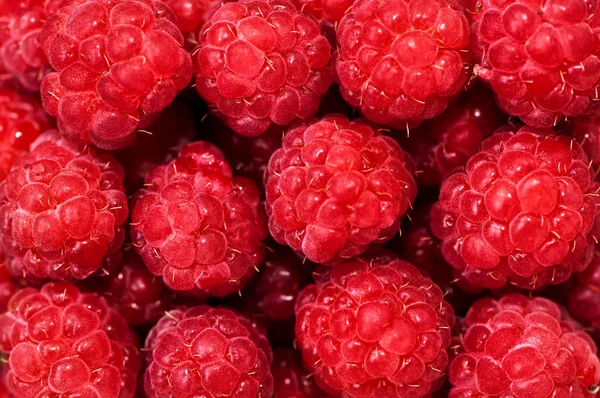 Fresh organic raspberry, bio-fruits from local farm and garden - Stock ...