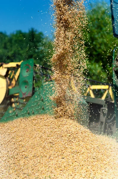 23,368 Grain harvester Stock Photos | Free & Royalty-free Grain ...