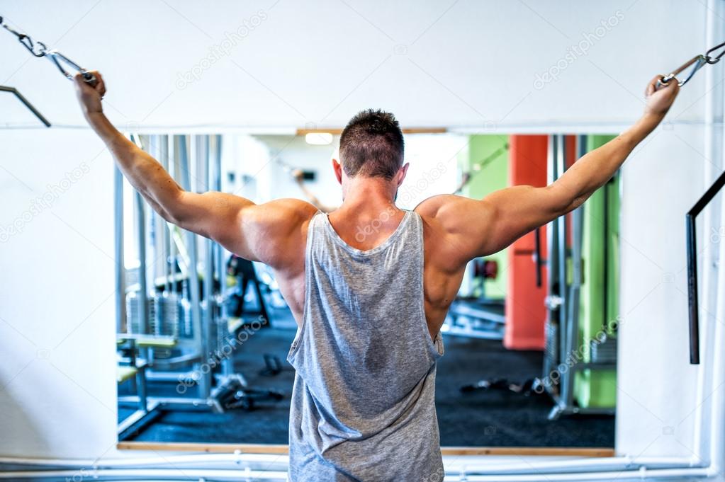 Bodybuilder working out the biceps in the gym. weightlifting in the ...