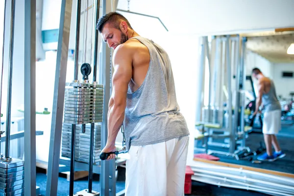 Athletic fitness coach, bodybuilder training at gym, triceps exercises ...