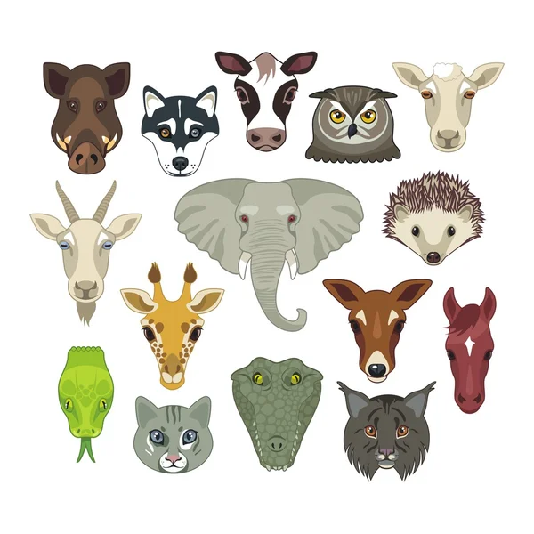 Animal heads Vector Art Stock Images | Depositphotos