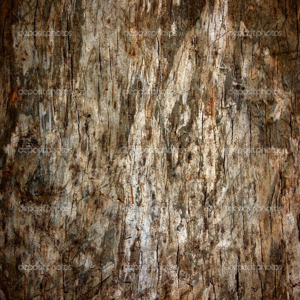 Rough texture — Stock Photo © igorsky #18259797
