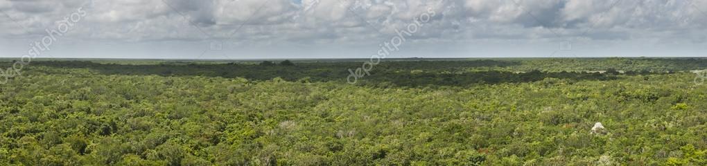 Selva panorámica: fotografía de stock © RamosPhotograph #12617448 ...