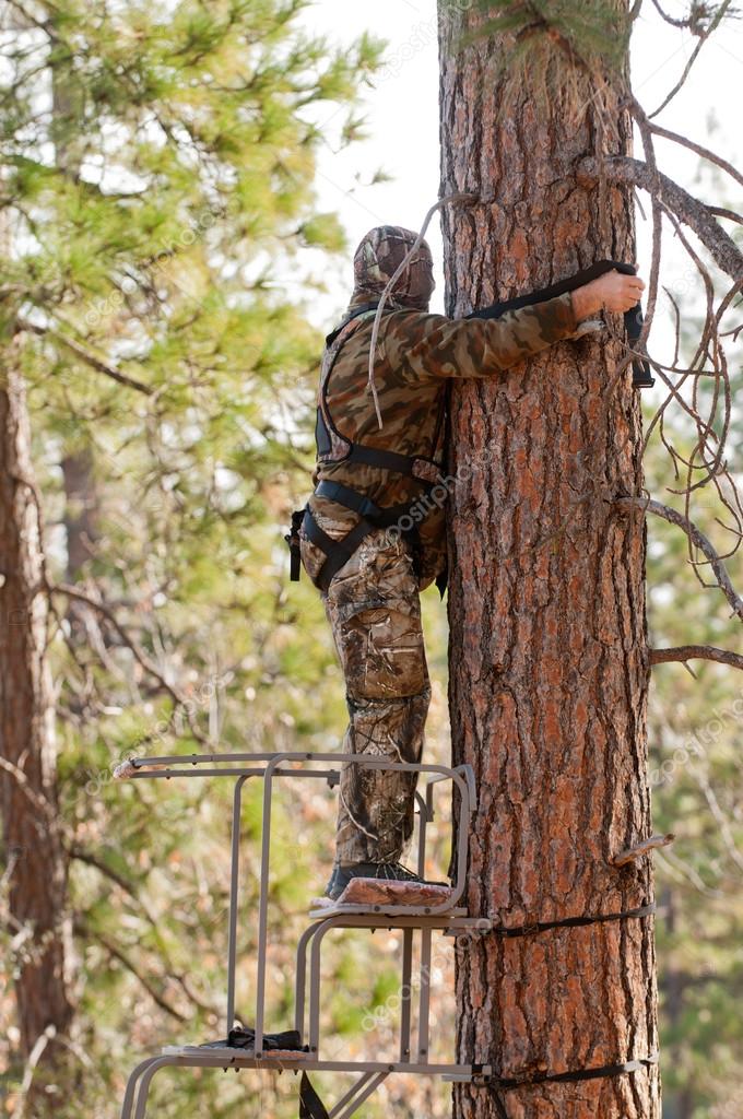 Bow hunter on tree — Stock Photo © jeffbanke #42163033