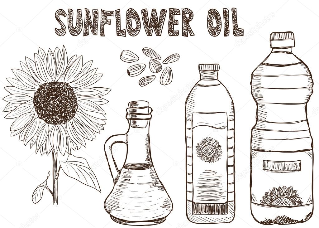 Sunflower oils doodle Stock Vector Image by ©kytalpa #23602137