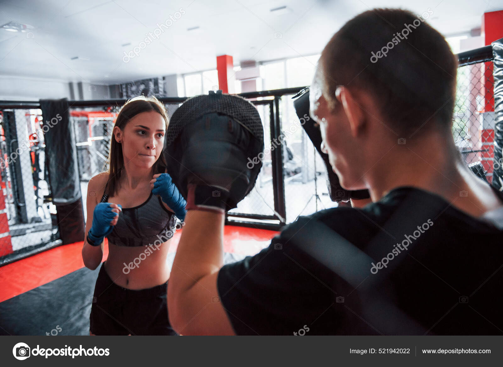 Fence Athletic Young People Have Sparring Boxing Ring Stock Photo by ...