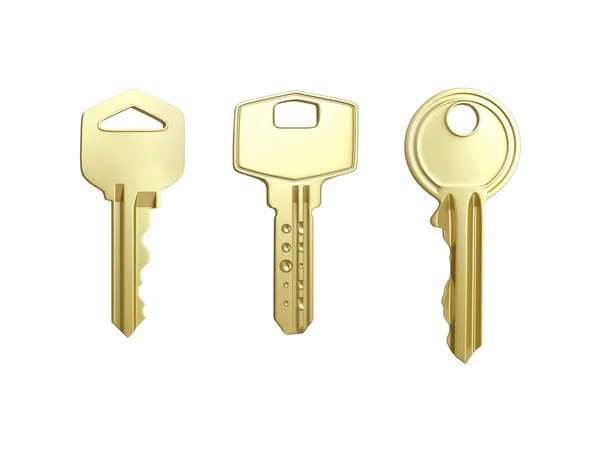 키 위 실루엣 Stock Photos, Royalty Free 키 위 실루엣 Images | Depositphotos