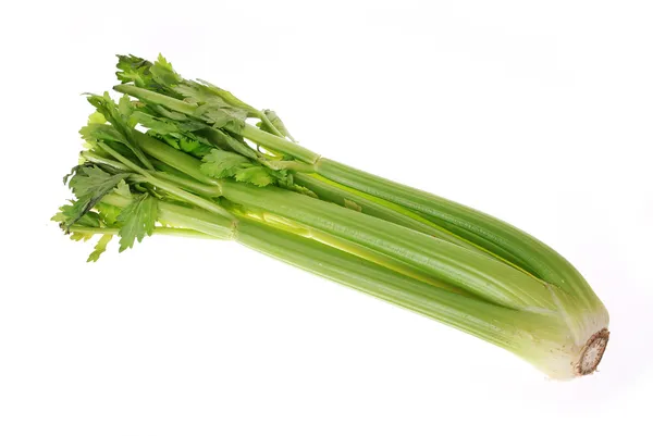 29,504,381 imágenes de Apio libres de derechos | Depositphotos