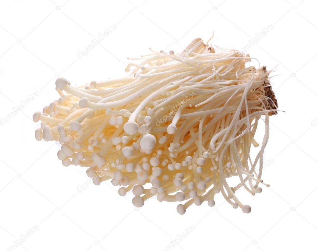 Hongos Enoki aislados en blanco 2023