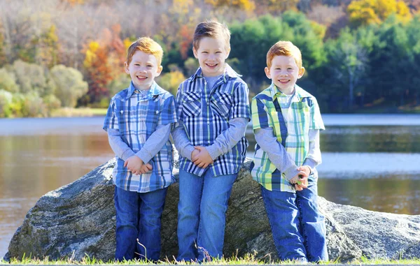 Family panoramic photos Stock Photos, Royalty Free Family panoramic ...