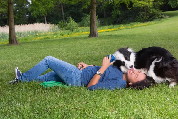 Dog love Stock Photos, Royalty Free Dog love Images | Depositphotos