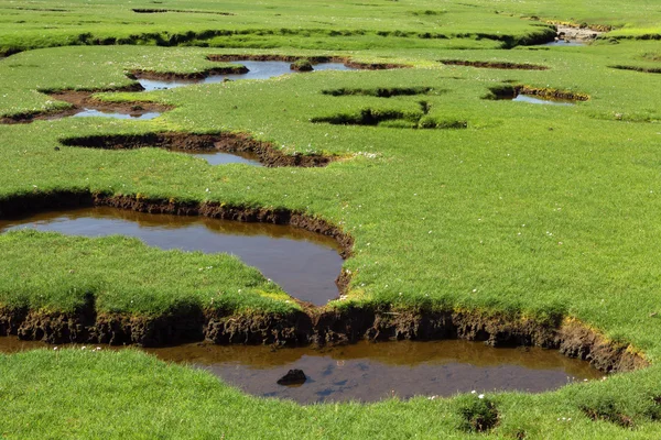 Tital Stock Photos, Royalty Free Tital Images | Depositphotos