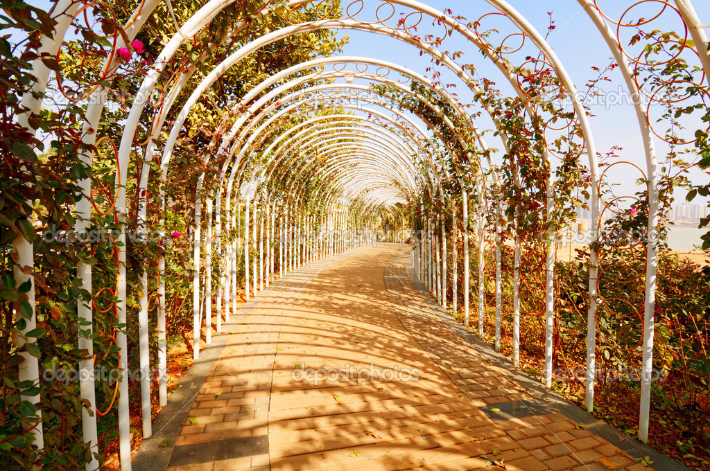 Garden and corridors Stock Photo by ©gyn9037 20182271