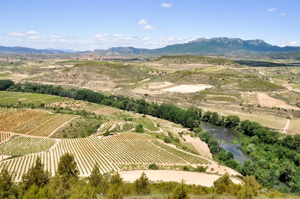 La rioja Stock Photos, Royalty Free La rioja Images | Depositphotos®