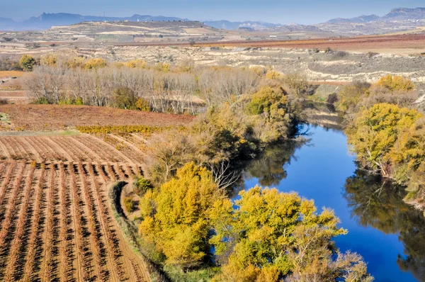 La rioja Stock Photos, Royalty Free La rioja Images | Depositphotos®