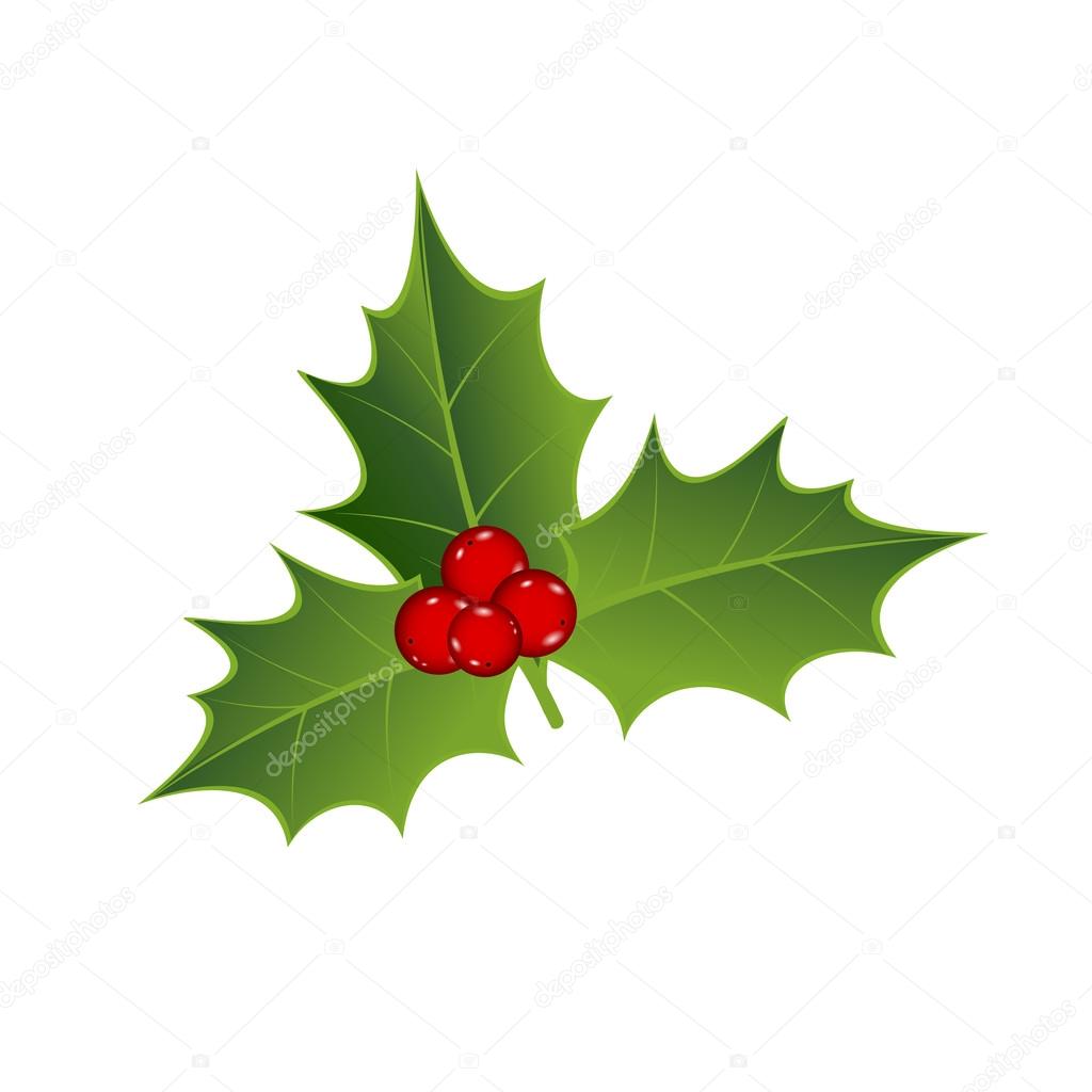 Mistletoe — Stock Vector © oxygendesign021 #18294147