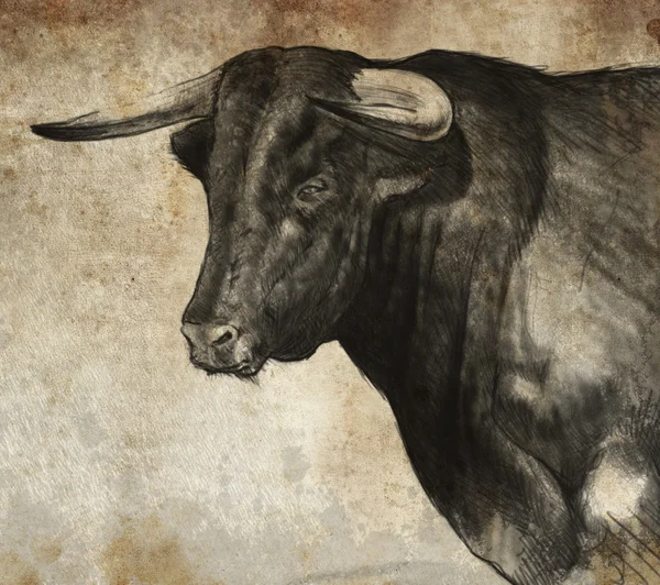 Sketch made with digital tablet of spanish bull - Stock Image - Everypixel