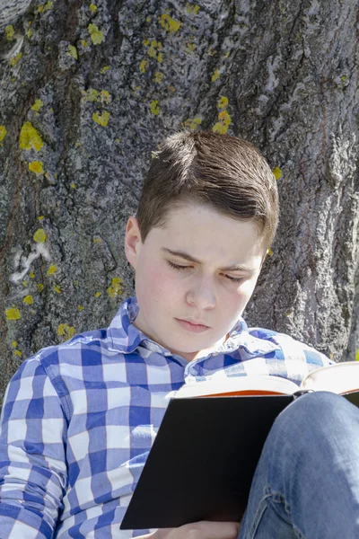 Young boy reading a book Stock Photo by ©outsiderzone 42459145