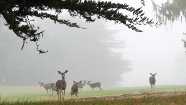 274 vídeos de Defecando libres de derechos | Depositphotos