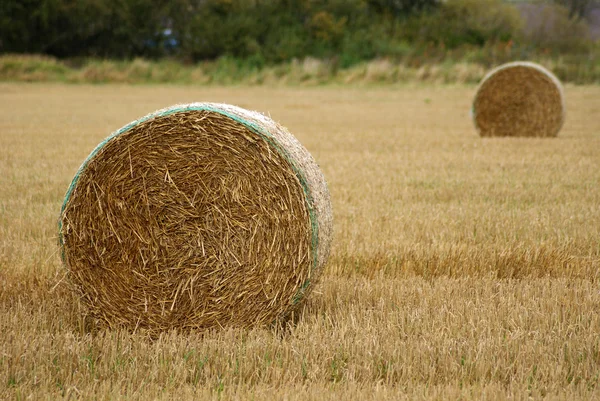 Round hay bale Stock Photos, Royalty Free Round hay bale Images ...