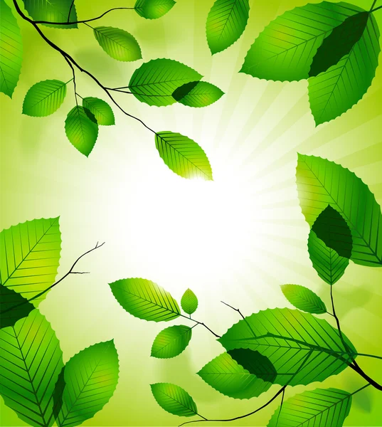 Photosynthesis chemical reaction Stock Photos, Royalty Free ...