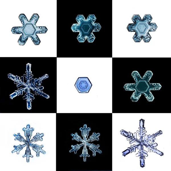 Vrais Motifs De Flocons De Neige Types De Flocons De Neige Aventures