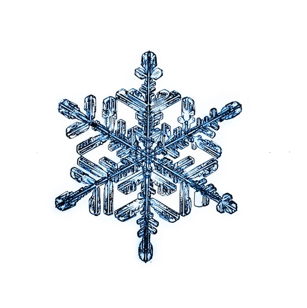 Snowflake Stock Photo by ©cookelma 1320129