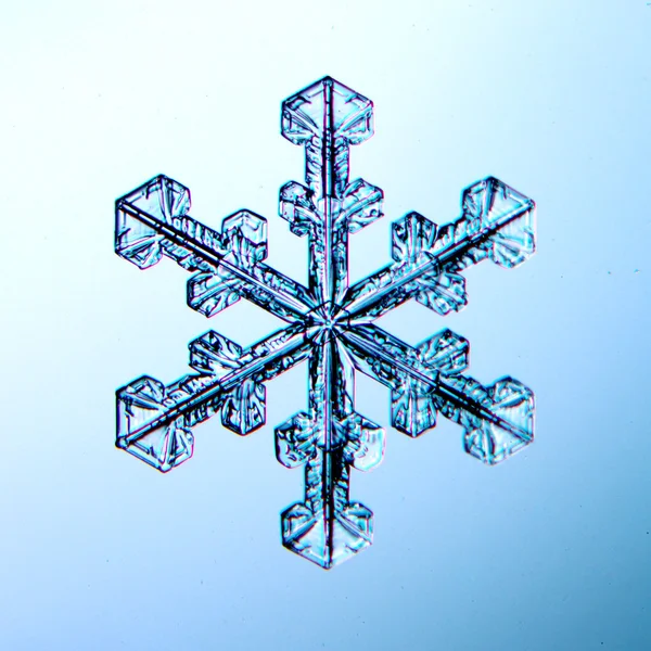 Real snowflakes water crystals — Stock Photo © xload #22163905