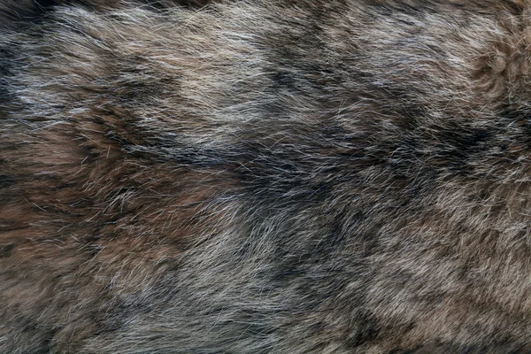 Seamless Wolf Fur Texture