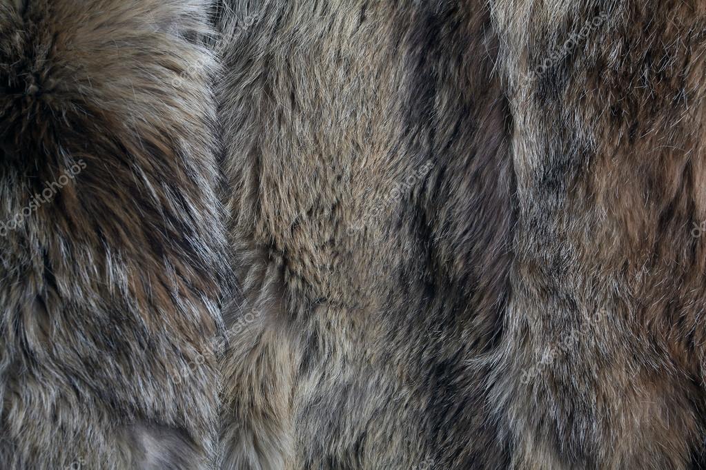 Seamless Wolf Fur Texture