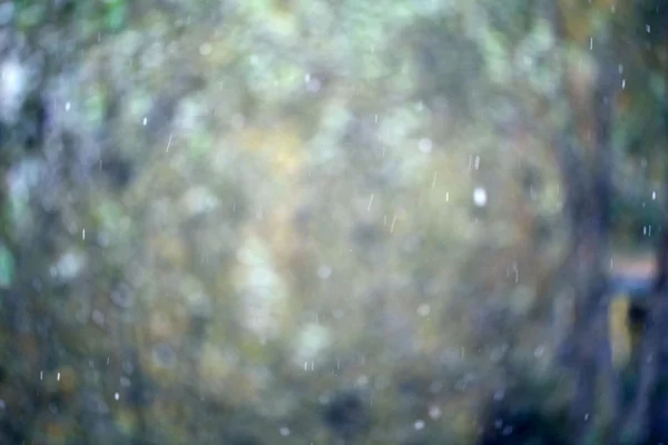 White fuzzy texture Pictures, White fuzzy texture Stock Photos & Images ...