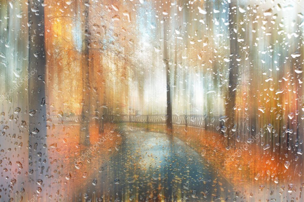 Automne dans le parc sous la pluie. le concept de l'hiver ...