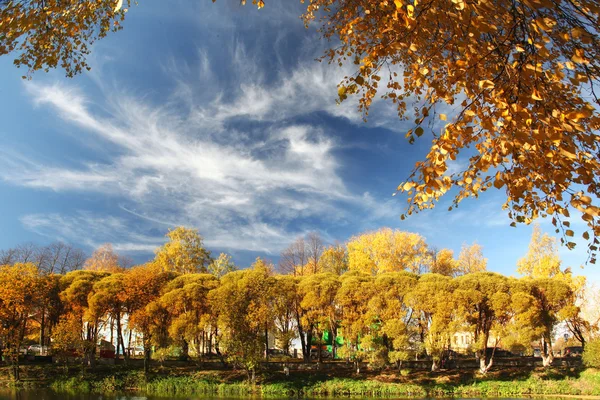 Ciel de l'automne bleu images libres de droit, photos de Ciel de l ...