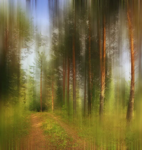 Forest background blur Stock Photos, Royalty Free Forest background ...