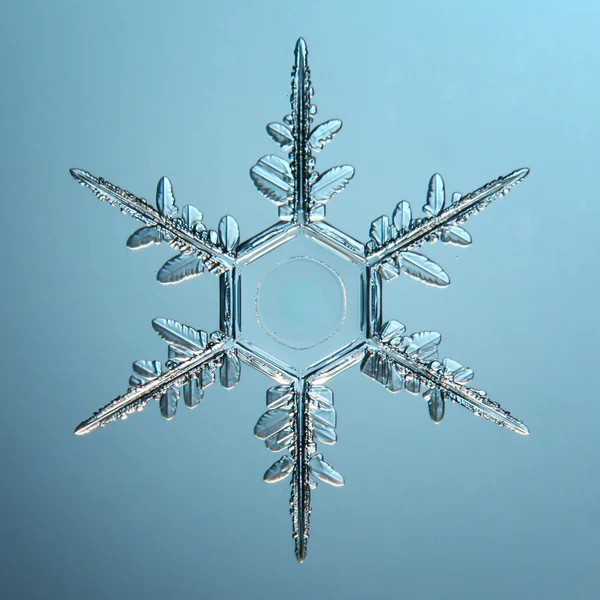 Snowflake — Stock Photo © xload #41200953