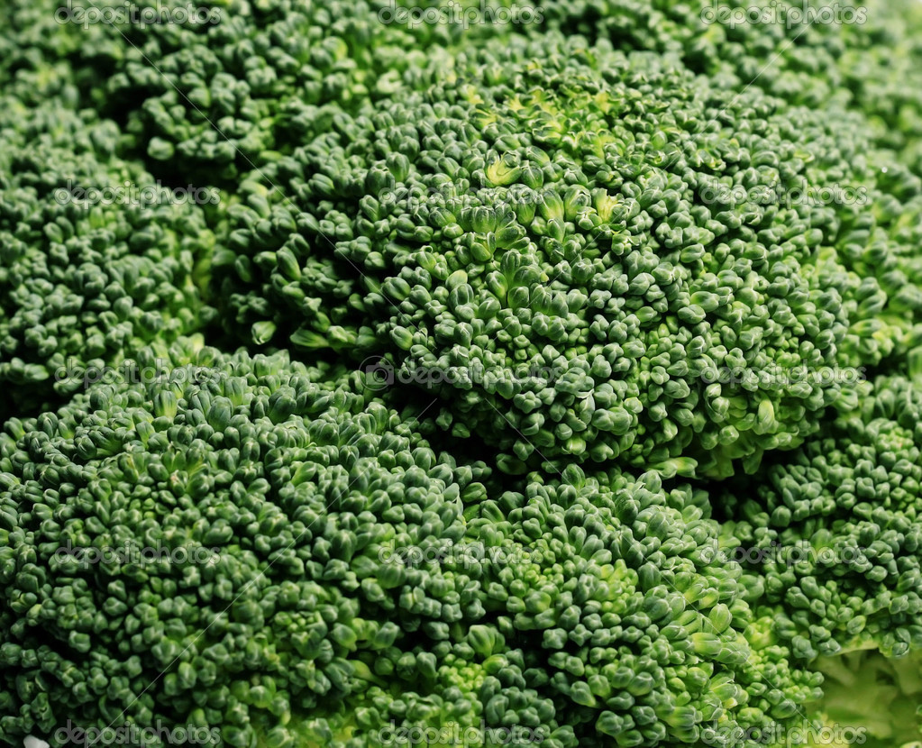 Green broccoli texture — Stock Photo © xload #41200723