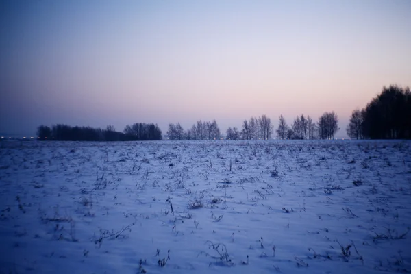 Winter field Stock Photos, Royalty Free Winter field Images | Depositphotos