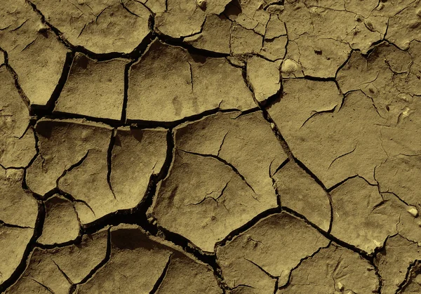 Dry earth background Pictures, Dry earth background Stock Photos ...