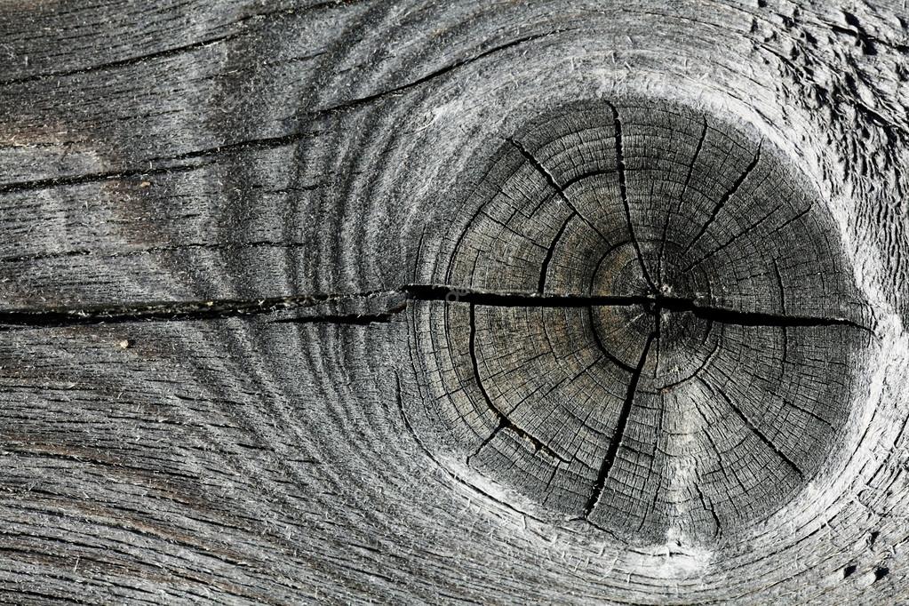 Gray knotty wood texture Stock Photo by ©xload 47591631