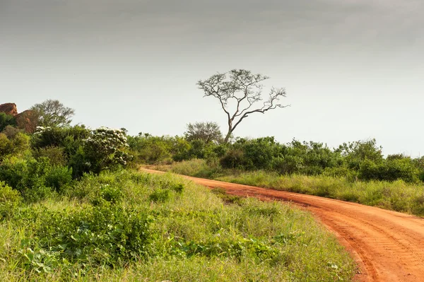 Paisagens de angola Stock Photos, Royalty Free Paisagens de angola ...
