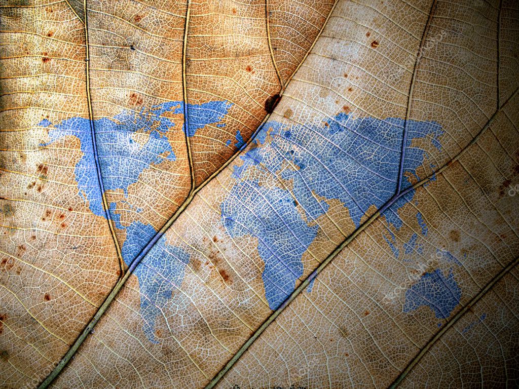 Leaf world map Stock Photo by ©paisan191 42883675