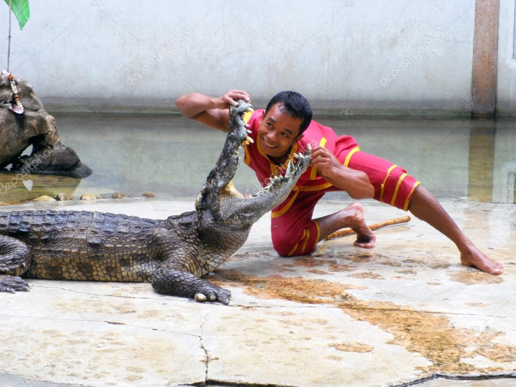 SAMUTPRAKARN,THAILAND -SEPTEMBER 8: crocodile show at crocodile farm on ...