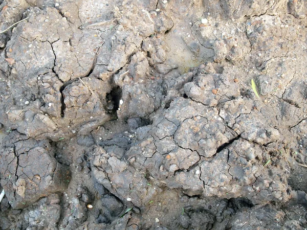 Lump of mud Stock Photos, Royalty Free Lump of mud Images | Depositphotos