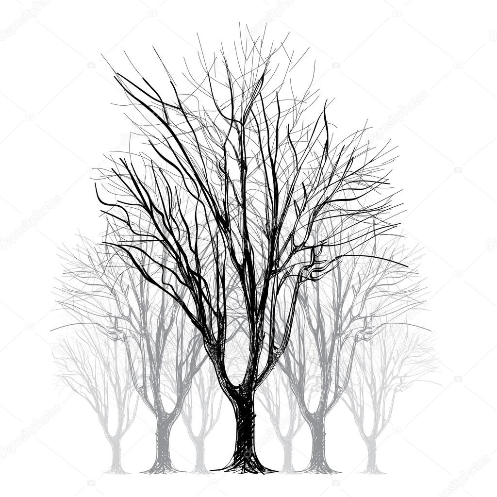 Large bare tree without leaves - hand drawn — Stock Vector ... Large bare tree without leaves - hand drawn — Stock Vector ...