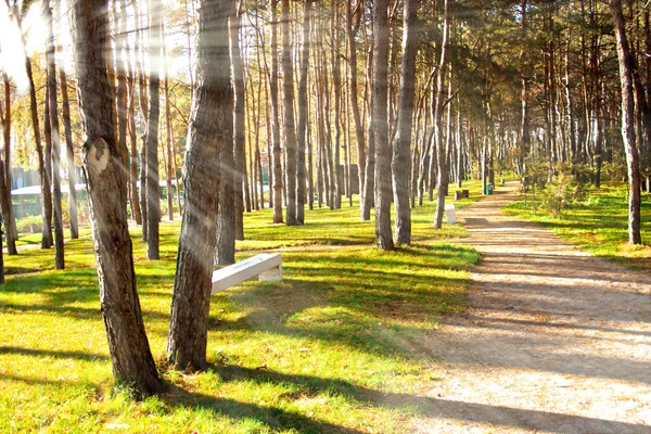 ไม่มีใครอยู่ข้างนอก Stock Photos, Royalty Free ไม่มีใครอยู่ข้างนอก ...