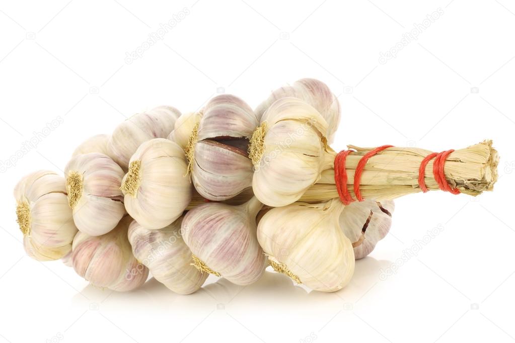 String of garlic bulbs Stock Photo by ©tpzijl 22762794