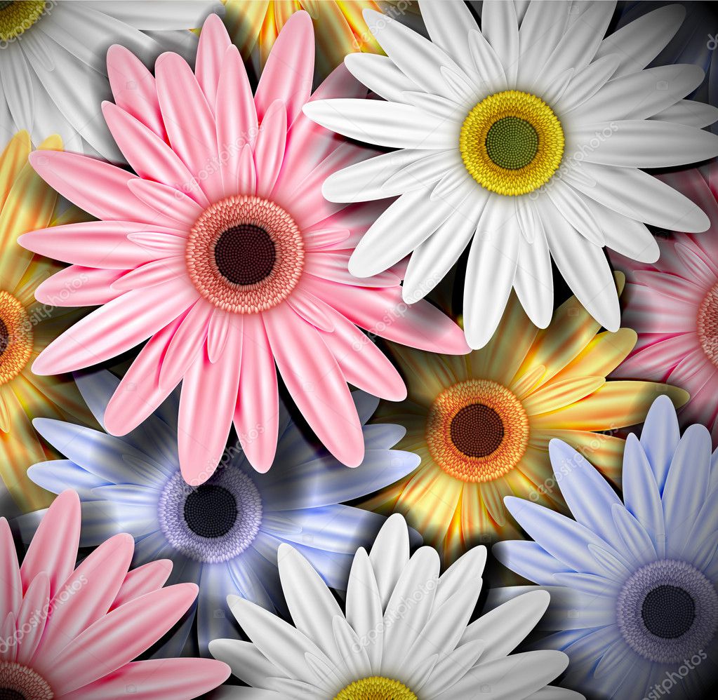 Background with colorful gerberas Stock Vector Image by ©Elymas #16253475